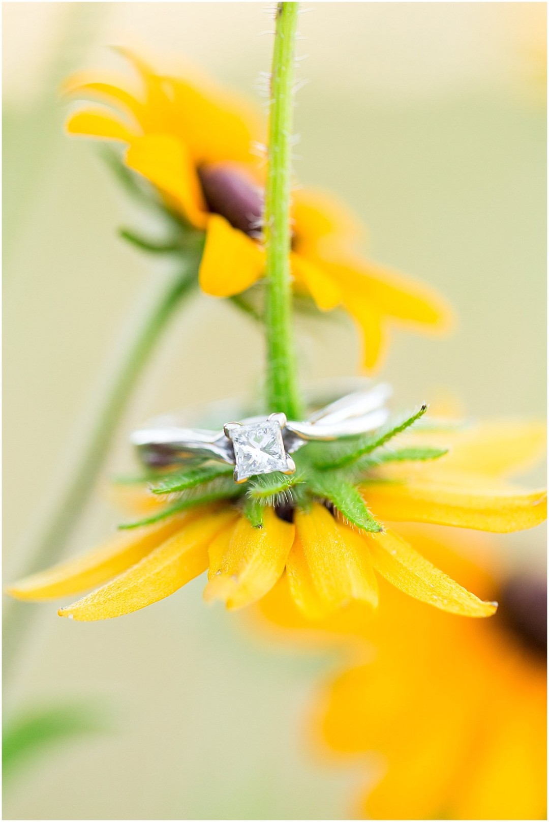 Top 20 Ring Shots - Cassidy MR. Photography | Maryland Portrait Newborn ...